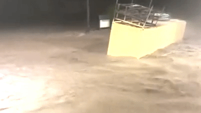 Watch: Shipping container floats by Australian pub during catastrophic ...